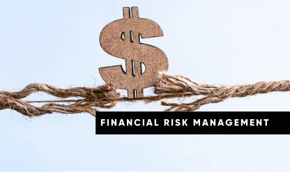 Understanding Financial Risk and Behavioral Decision Making