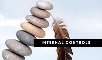 Testing Internal Controls: Accounting & Auditing Live Webinar